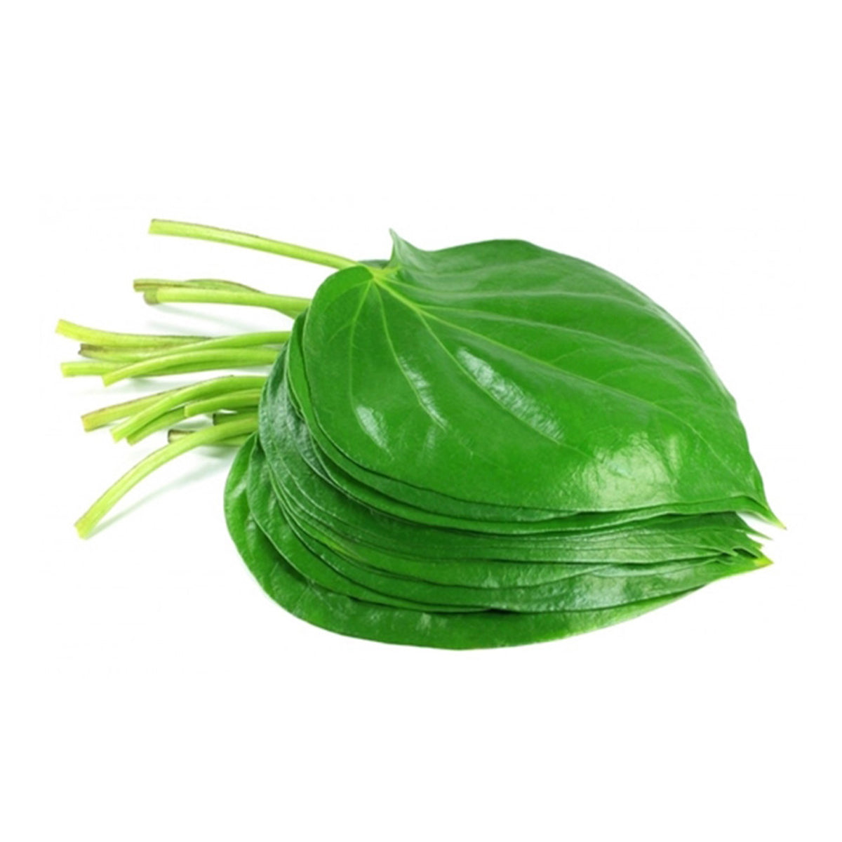 Buy Betel Leaves (Vetrilai) 50g (10Pcs) Online in The UK – veenas.com