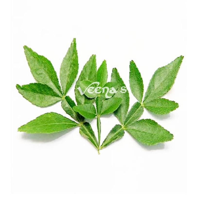 Buy Vilvam Leaf (Bilva Leaf) 10g Online in UK | Veena’s – veenas.com